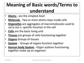 Introduction =Anatomy & Physiology | PPSX