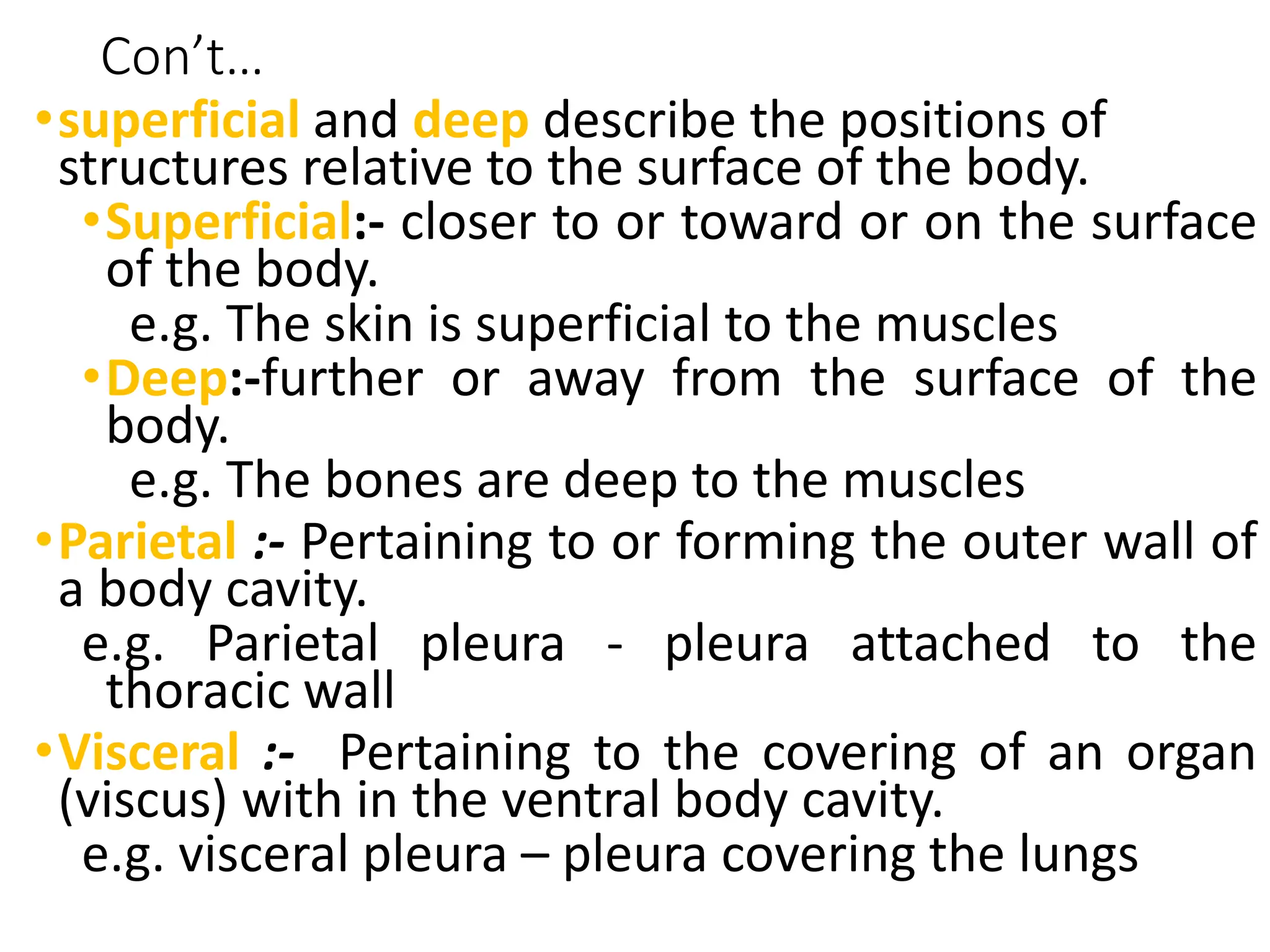 introduction anatomyu.pptx anatomy of nursing | PPTX