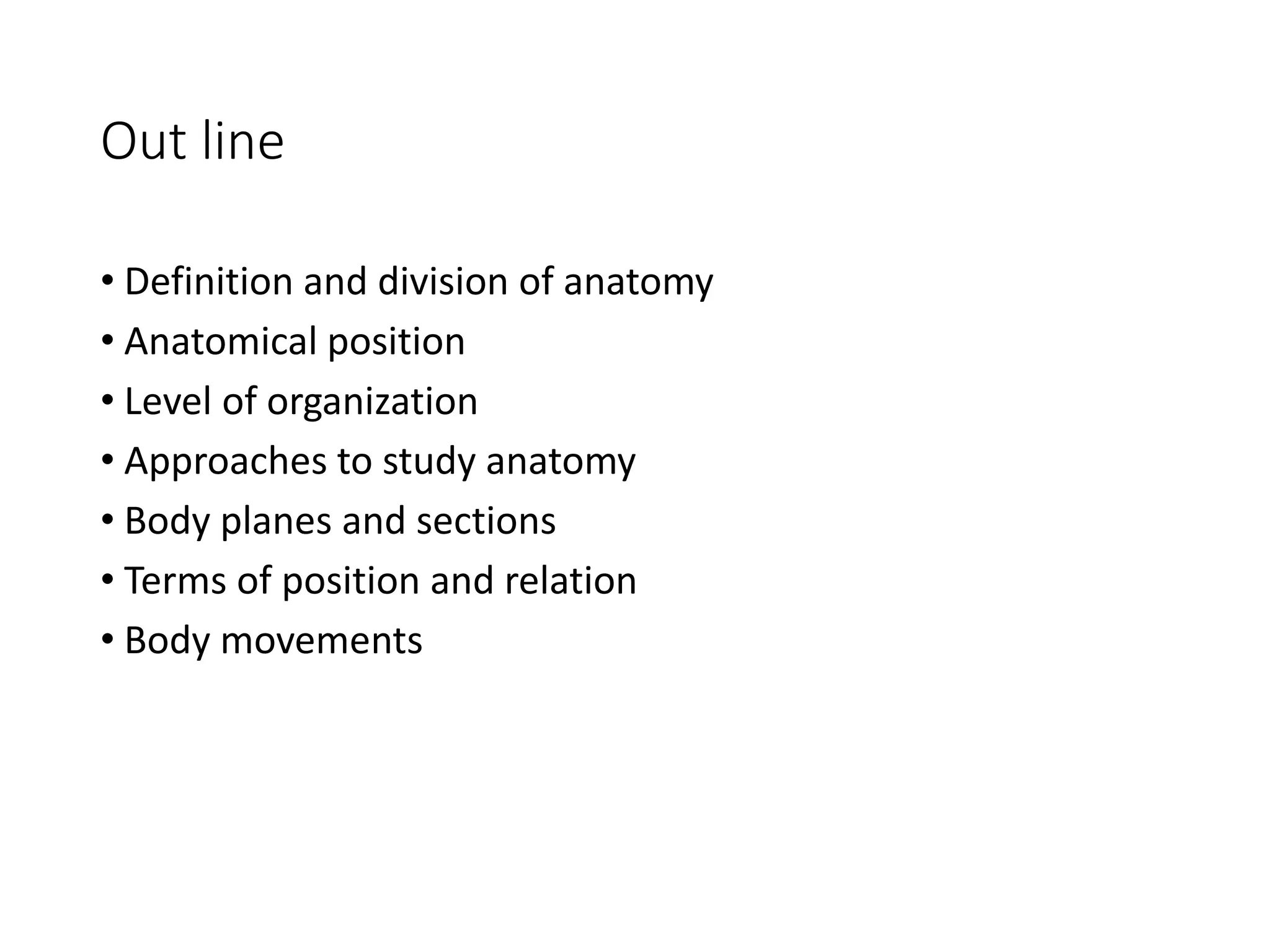 Define Section Anatomy