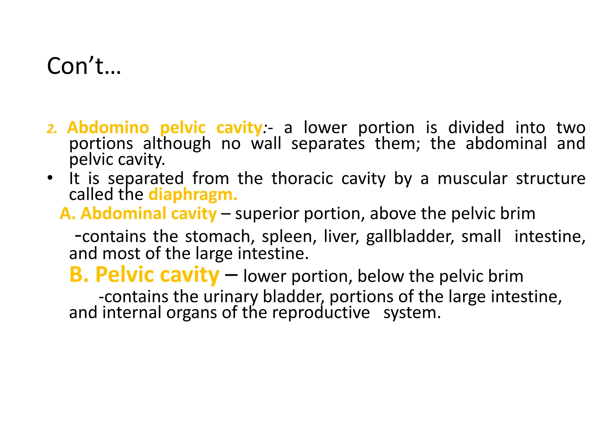 introduction anatomyu.pptx anatomy of nursing | PPTX
