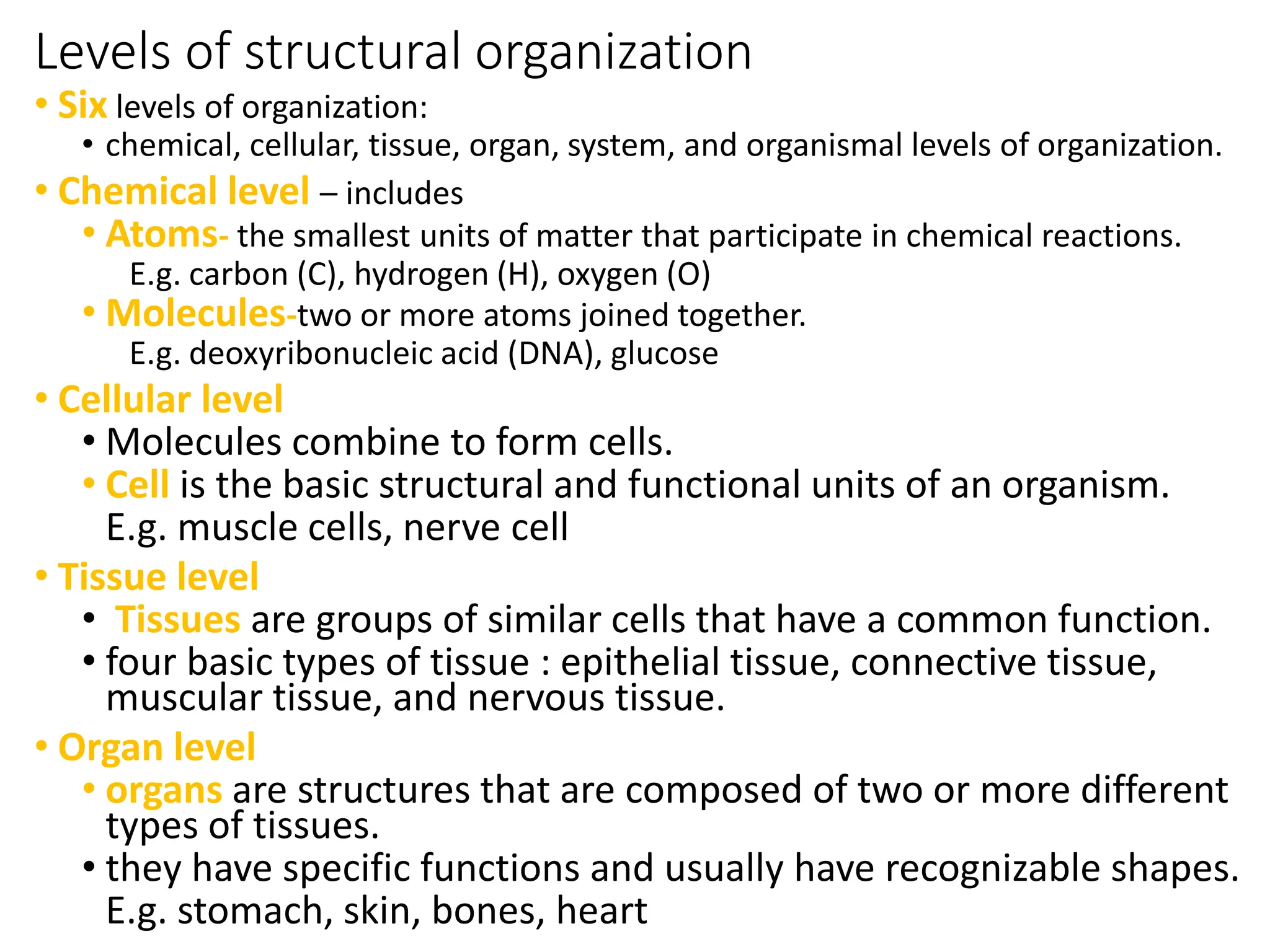 introduction anatomyu.pptx anatomy of nursing | PPTX