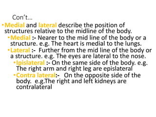 introduction anatomyu.pptx anatomy of nursing | PPTX