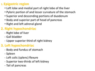 introduction anatomyu.pptx anatomy of nursing | PPTX