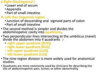 introduction anatomyu.pptx anatomy of nursing | PPTX