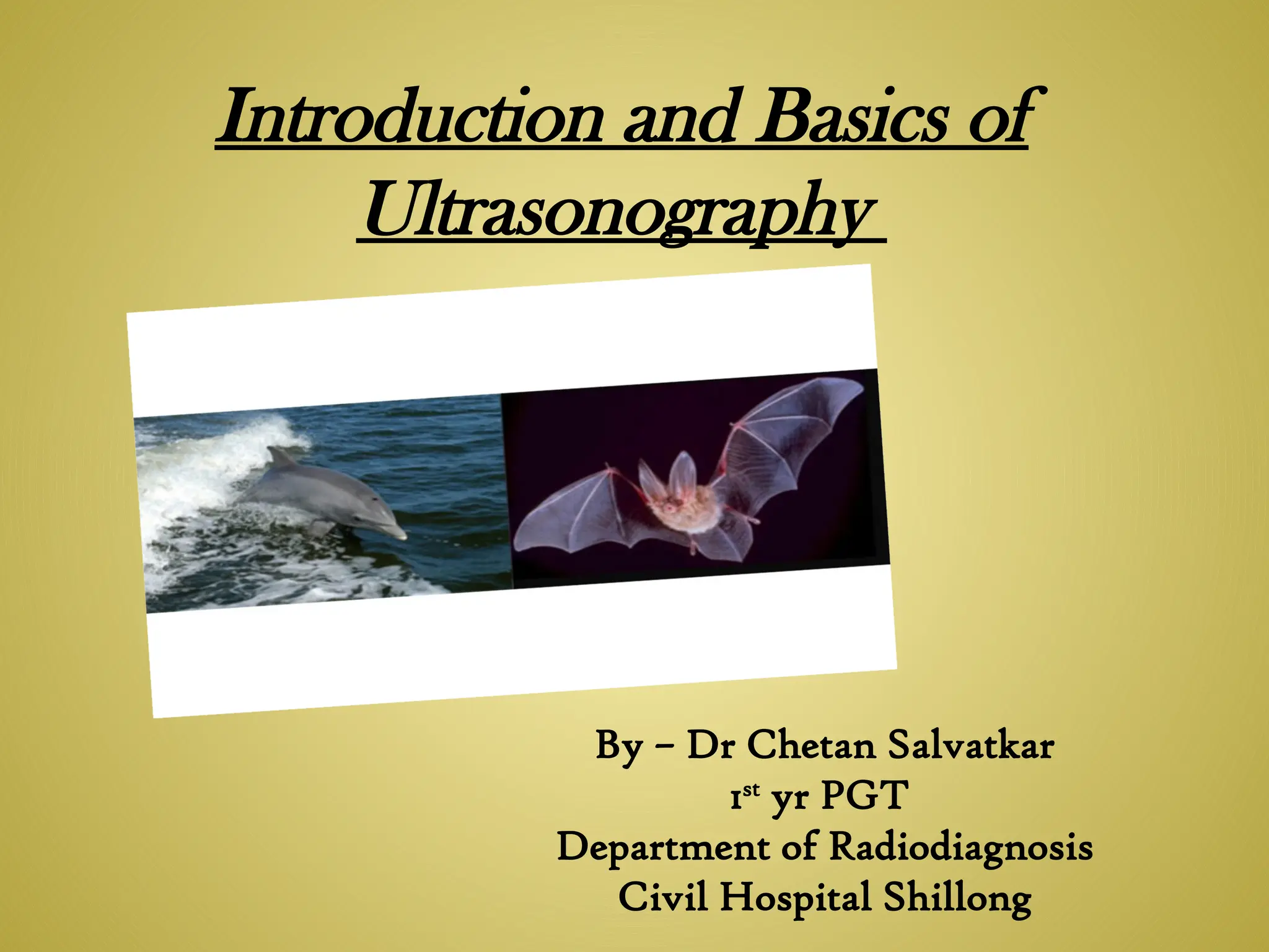 Introduction and Basics of Ultrasonography.pptx