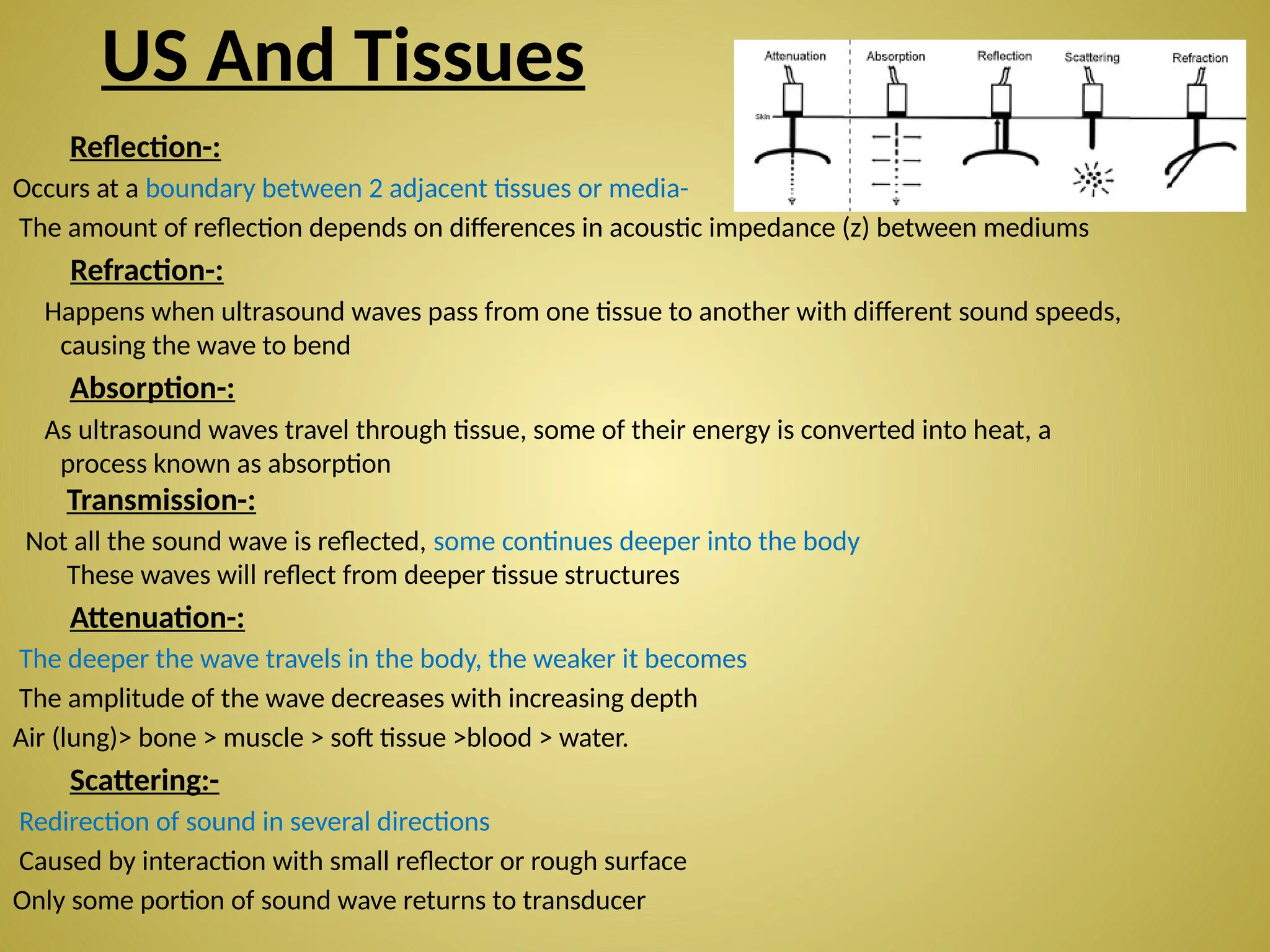 Introduction and Basics of Ultrasonography.pptx