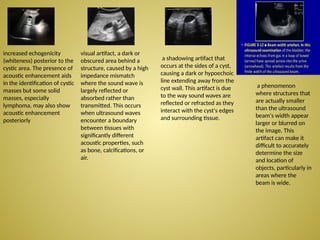 Introduction and Basics of Ultrasonography.pptx
