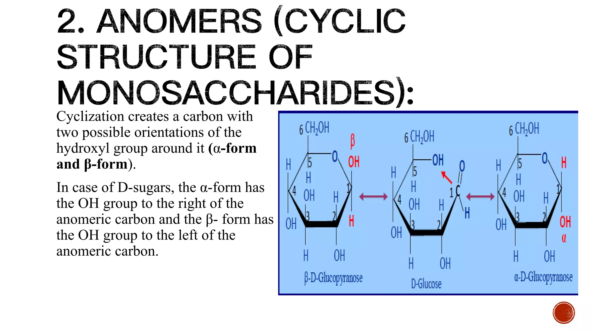 introduction and carbohydrate chemistry.pdf