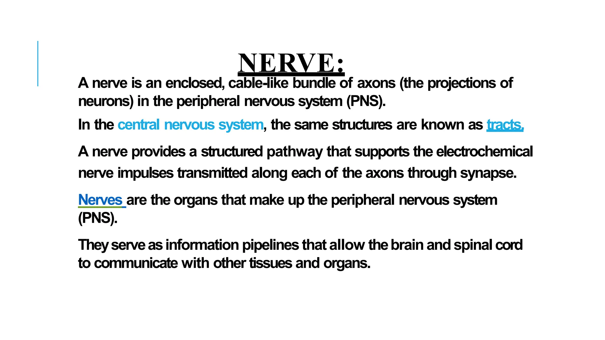 INTRODUCTION AND CLASSIFICATION OF NERVOUS SYSTEM (2).pptx