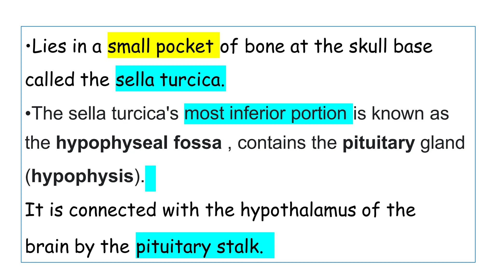 INTRODUCTION AND CLASSIFICATION OF NERVOUS SYSTEM (2).pptx