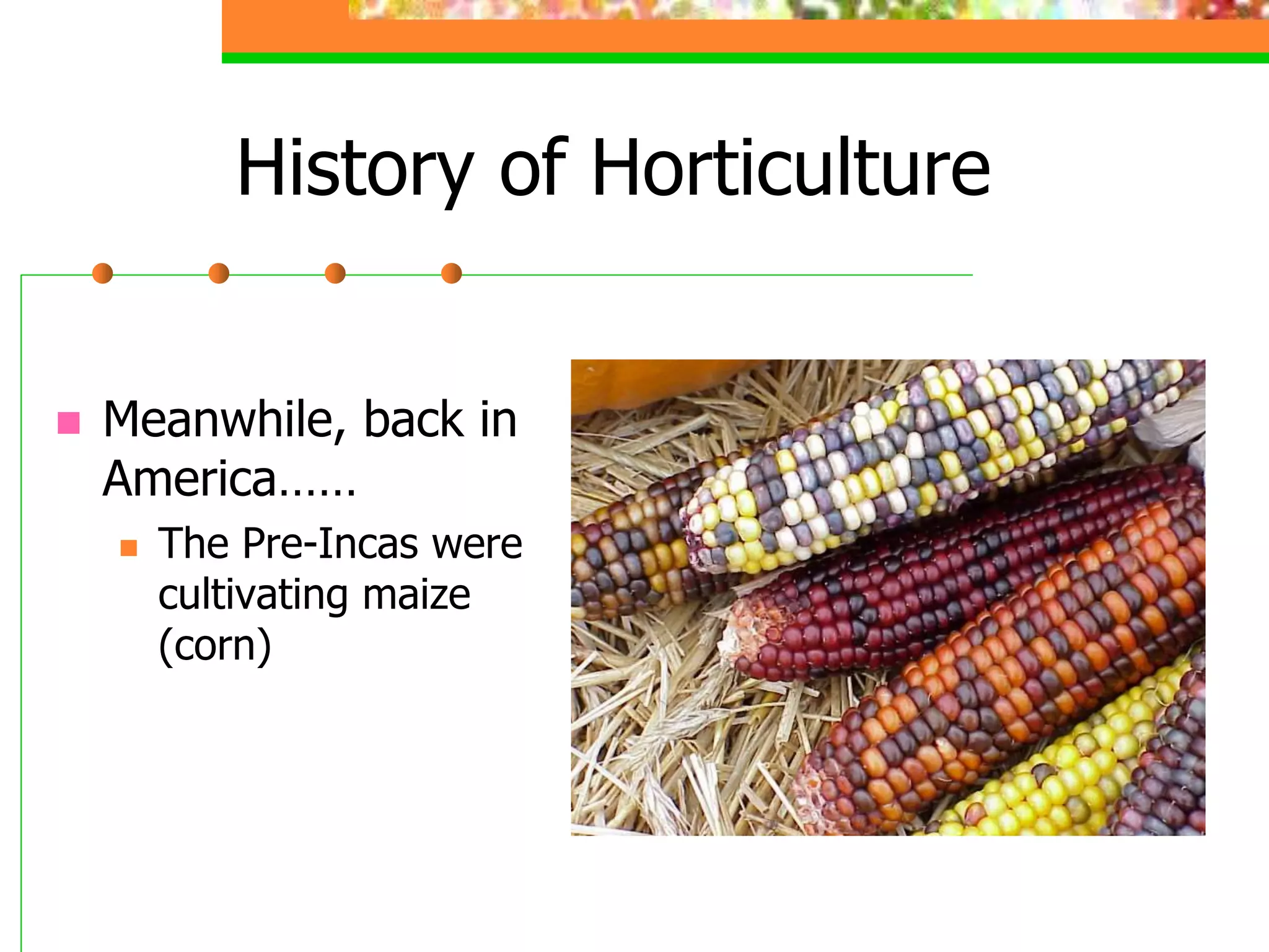 introduction_and_history_of_horticulture.ppt