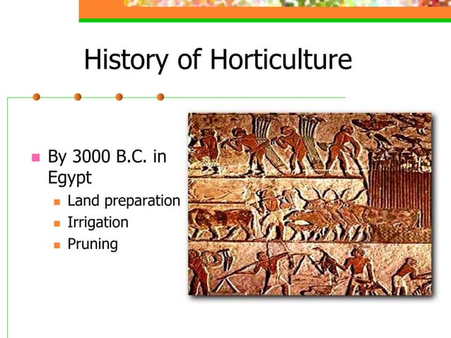 introduction_and_history_of_horticulture.ppt | Gardening | Home & Garden