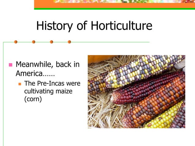 introduction_and_history_of_horticulture.ppt | Gardening | Home & Garden