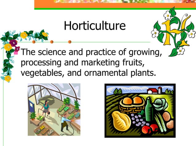 introduction_and_history_of_horticulture.ppt | Gardening | Home & Garden