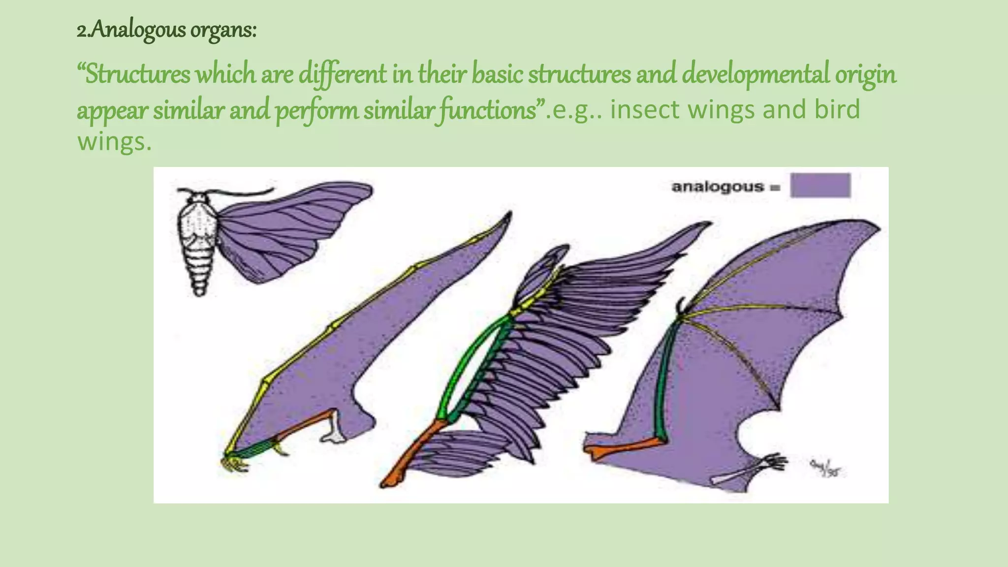 Introduction and importance of biological evolution | PPTX
