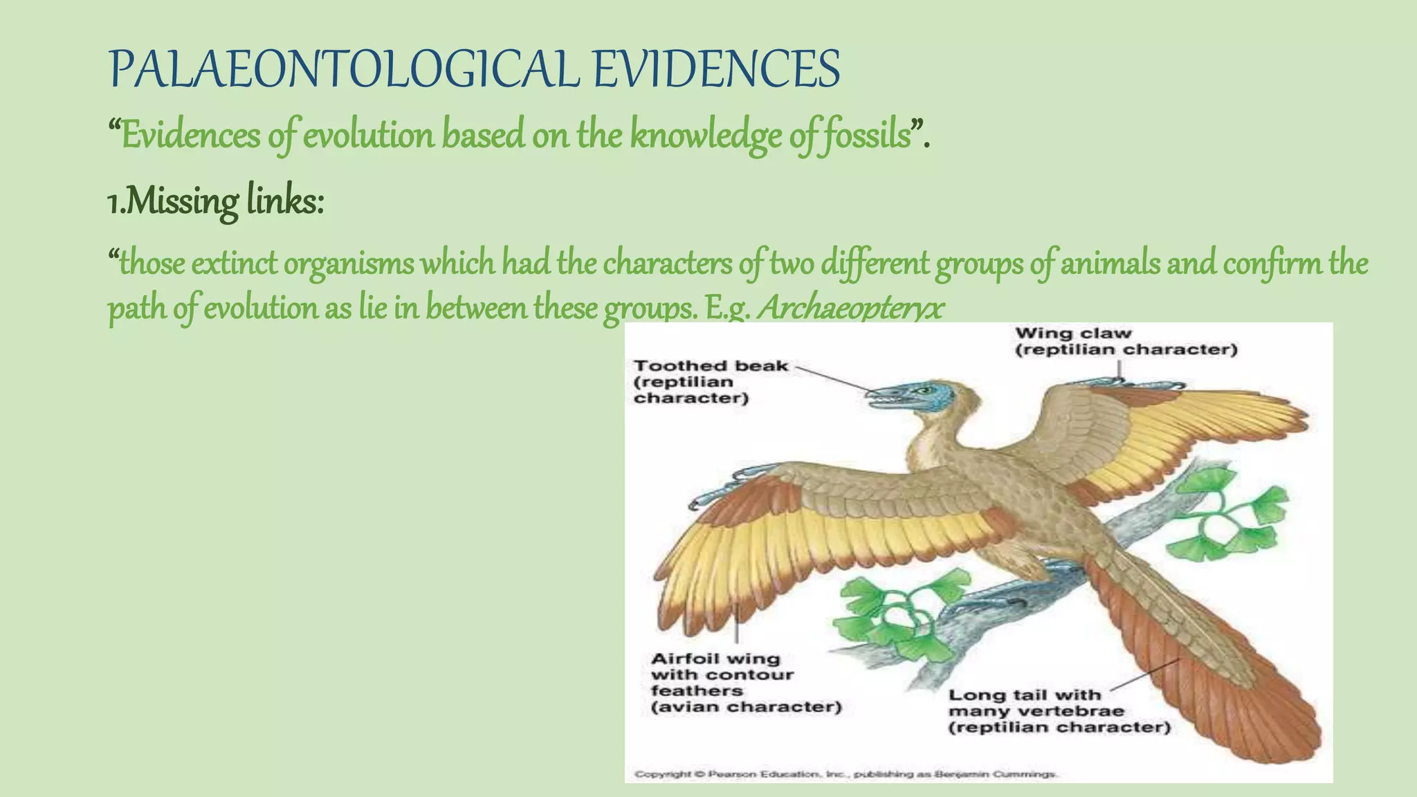 Introduction and importance of biological evolution | PPTX