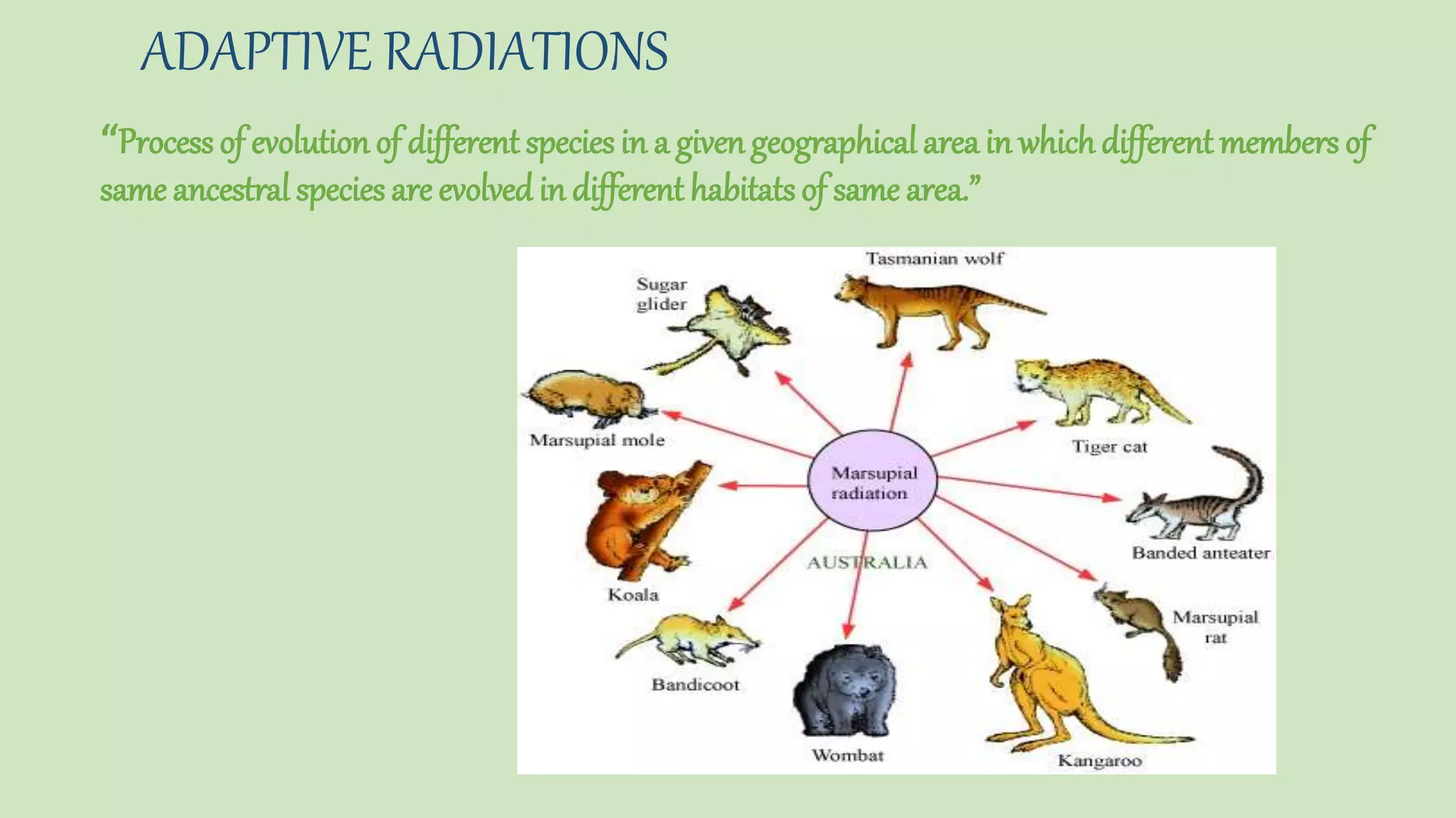 Introduction and importance of biological evolution | PPTX