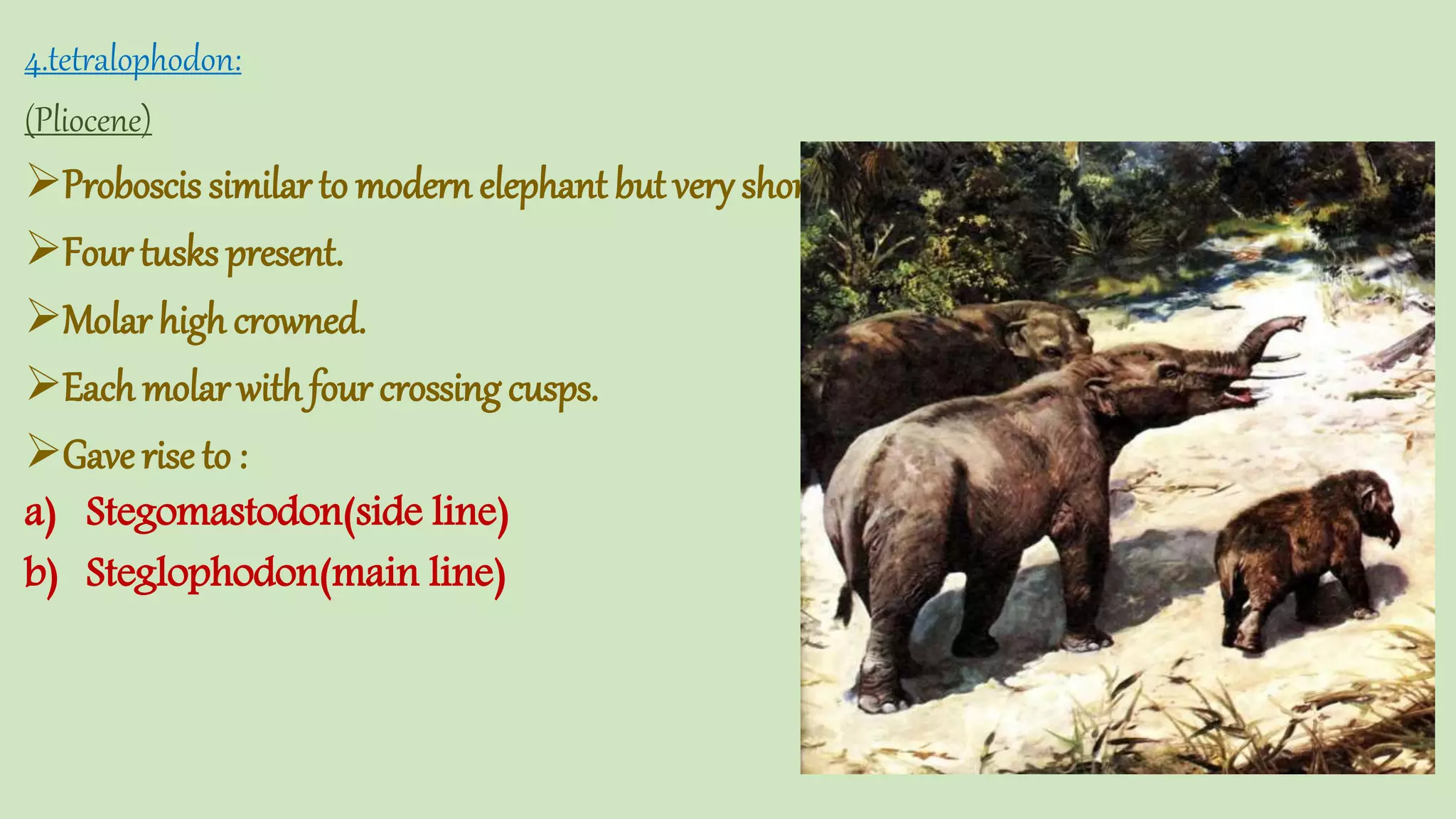 Introduction and importance of biological evolution | PPTX