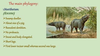 Introduction and importance of biological evolution | PPTX