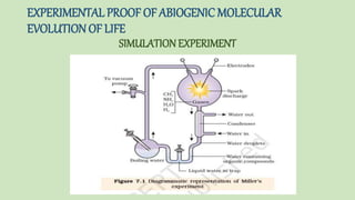 Introduction and importance of biological evolution | PPTX