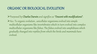 Introduction and importance of biological evolution | PPTX