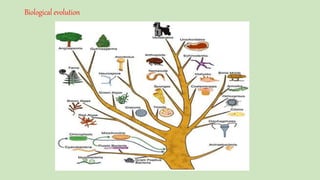 Introduction and importance of biological evolution | PPTX
