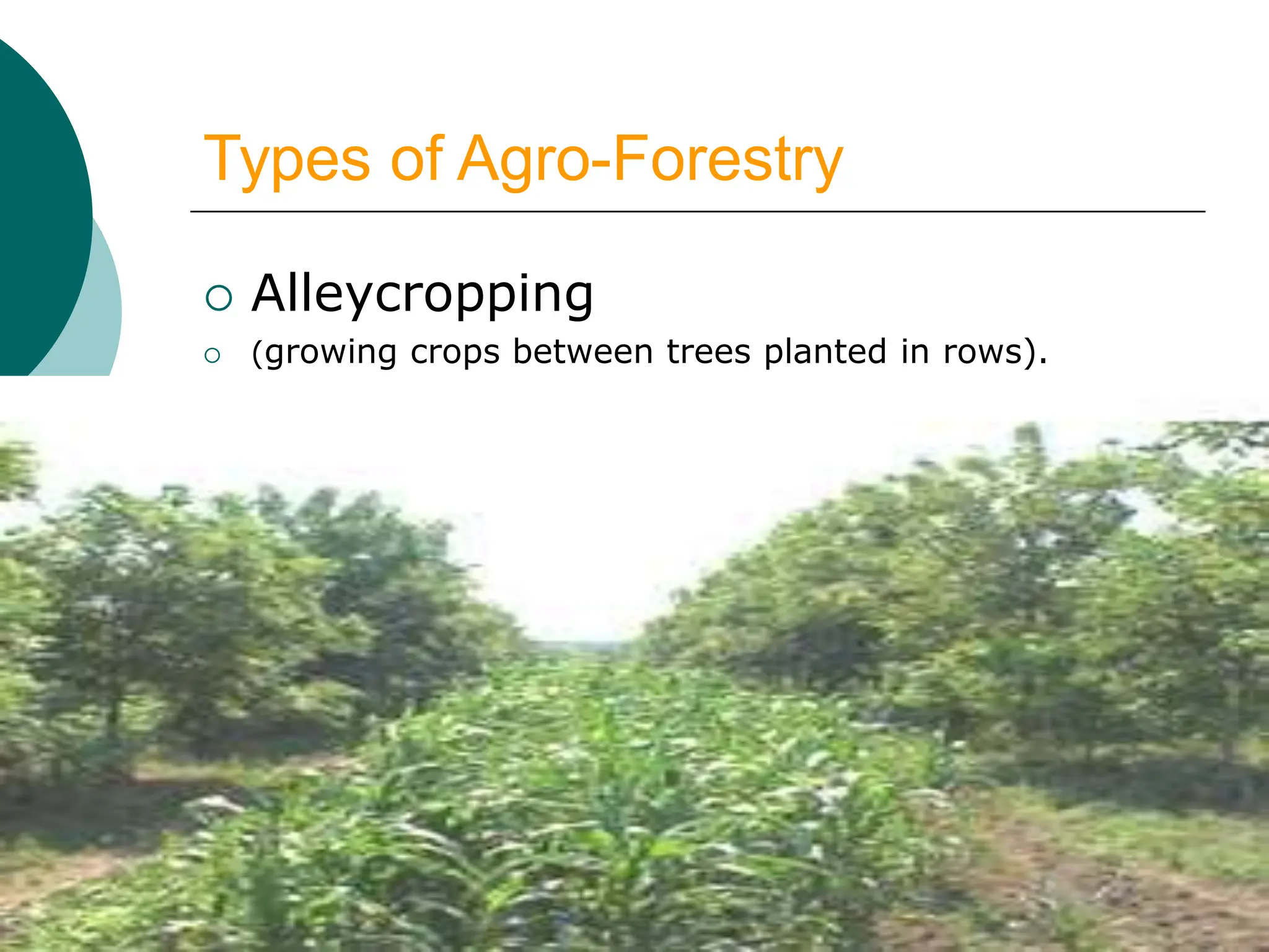 Introduction and Importance of Forestry and Agroforestry PDF.pdf