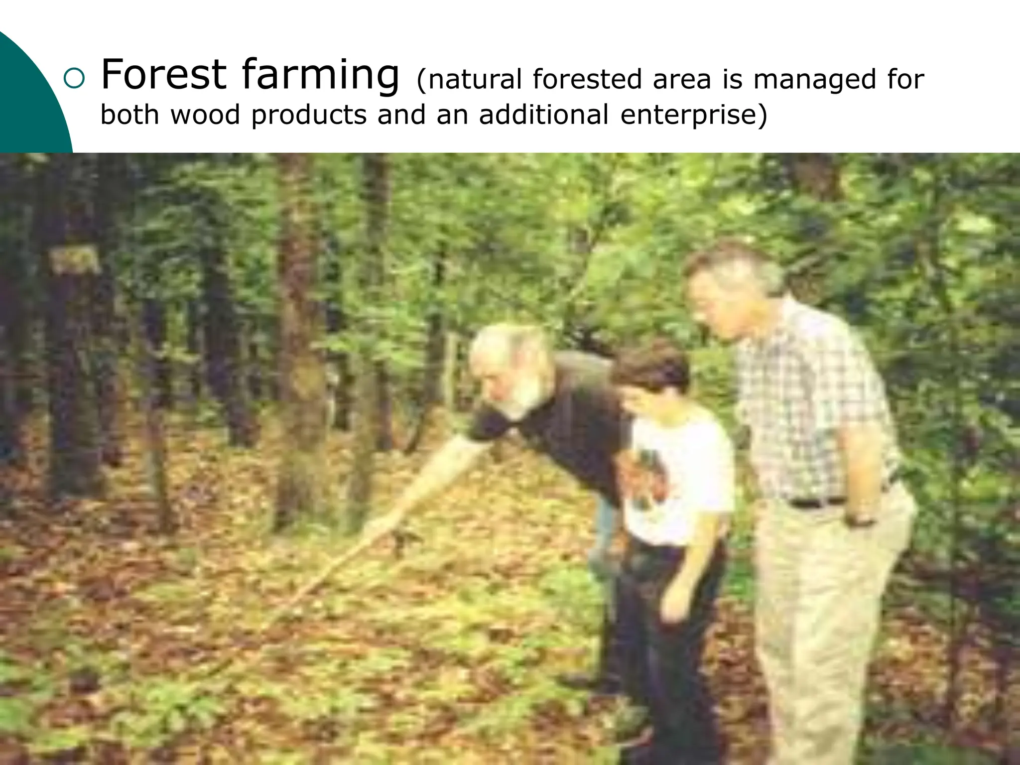 Introduction and Importance of Forestry and Agroforestry PDF.pdf