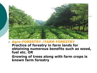 Introduction and Importance of Forestry and Agroforestry PDF.pdf