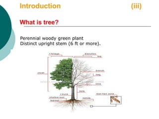 Introduction and Importance of Forestry and Agroforestry PDF.pdf