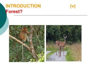 Introduction and Importance of Forestry and Agroforestry PDF.pdf