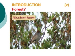 Introduction and Importance of Forestry and Agroforestry PDF.pdf