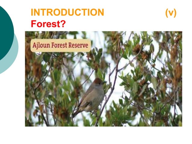 Introduction and Importance of Forestry and Agroforestry PDF.pdf