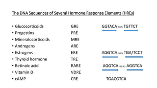 Introduction and MOA of steroidal hormones | PDF