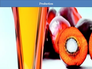 Introduction and overview on palm oil market in Egypt | PDF