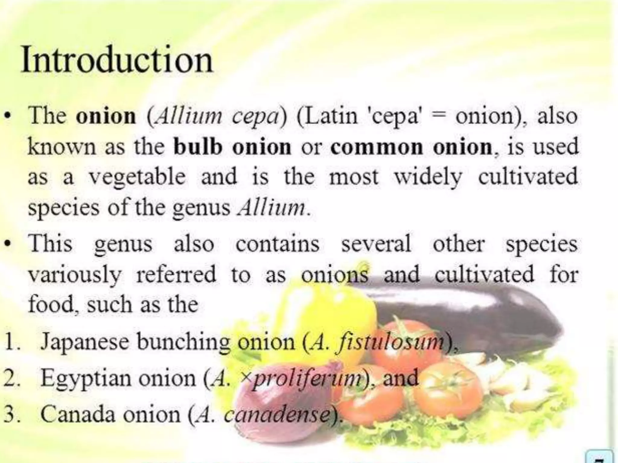 Introduction and production technology of winter vegetables | PPTX