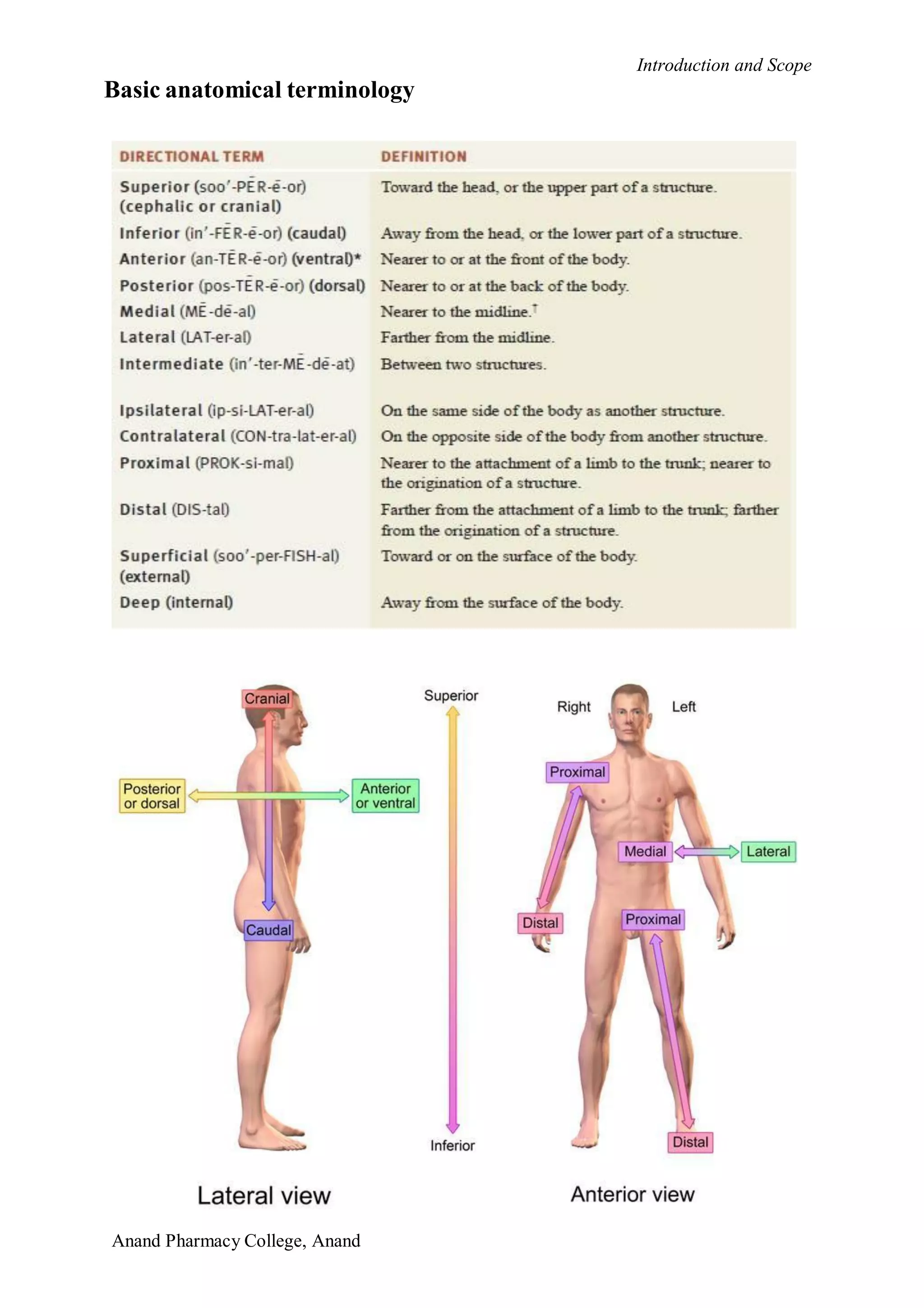 Introduction and scope of anatomy and physiology | PDF