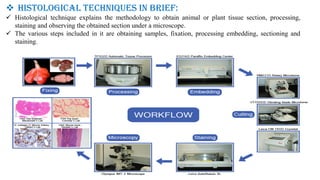 Introduction and scope of histology | PDF