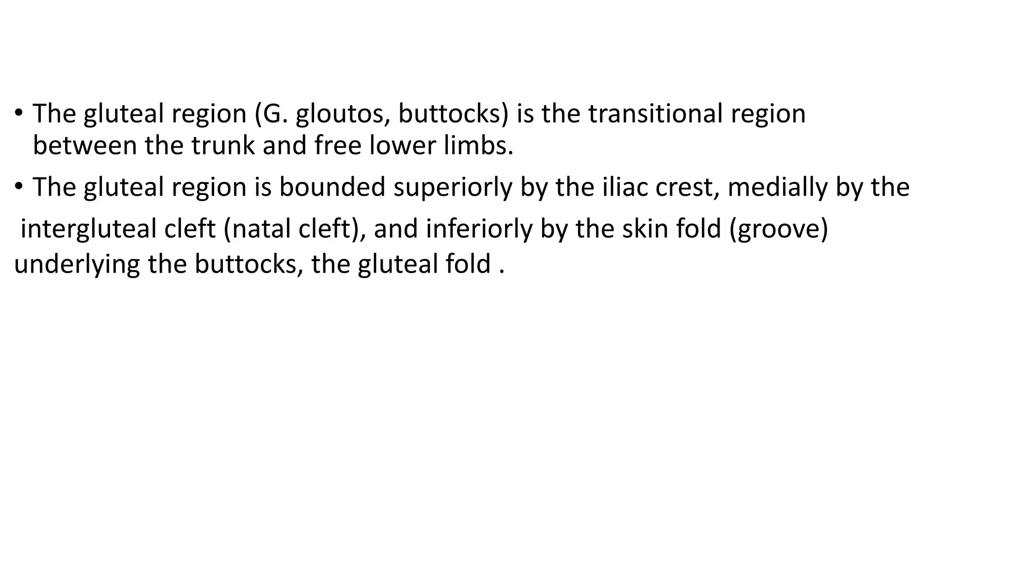 Introduction & anerior thigh muscle.pptx