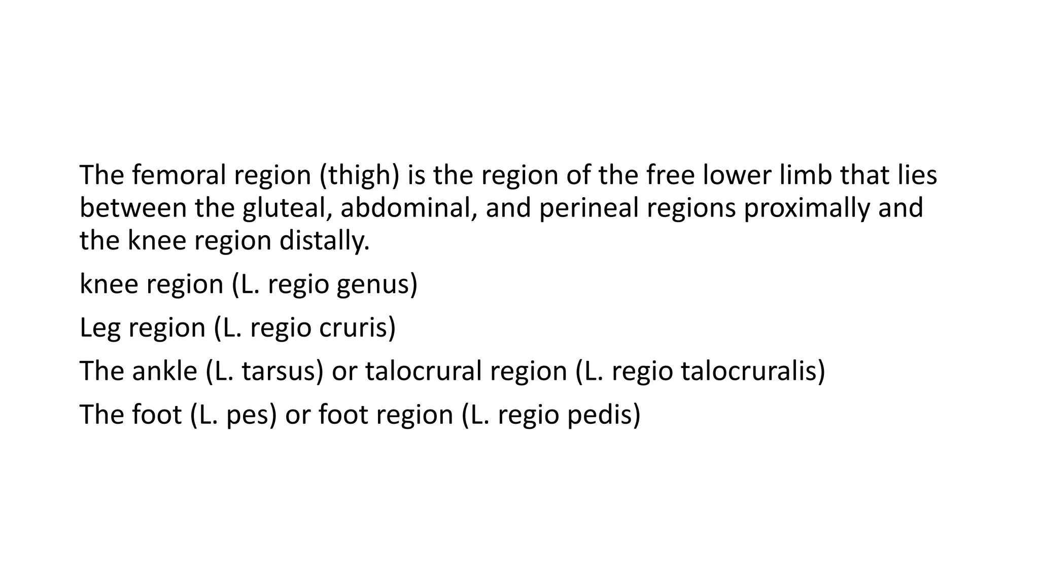Introduction & anerior thigh muscle.pptx