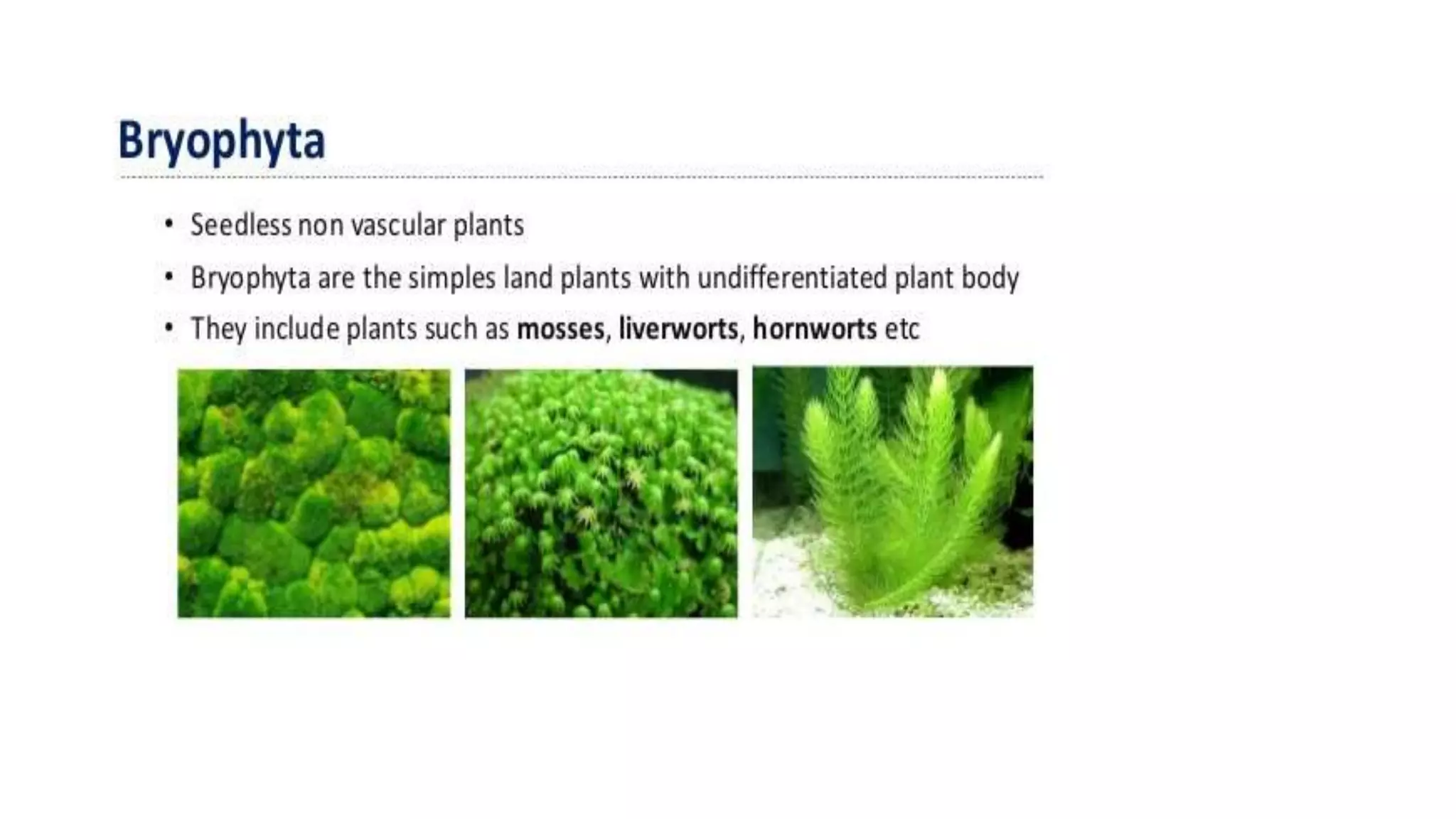 Introduction to Plant kingdom (B.Sc.I) | PPT