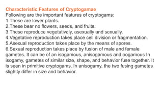 Introduction to Plant kingdom (B.Sc.I) | PPT