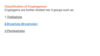 Introduction to Plant kingdom (B.Sc.I) | PPT