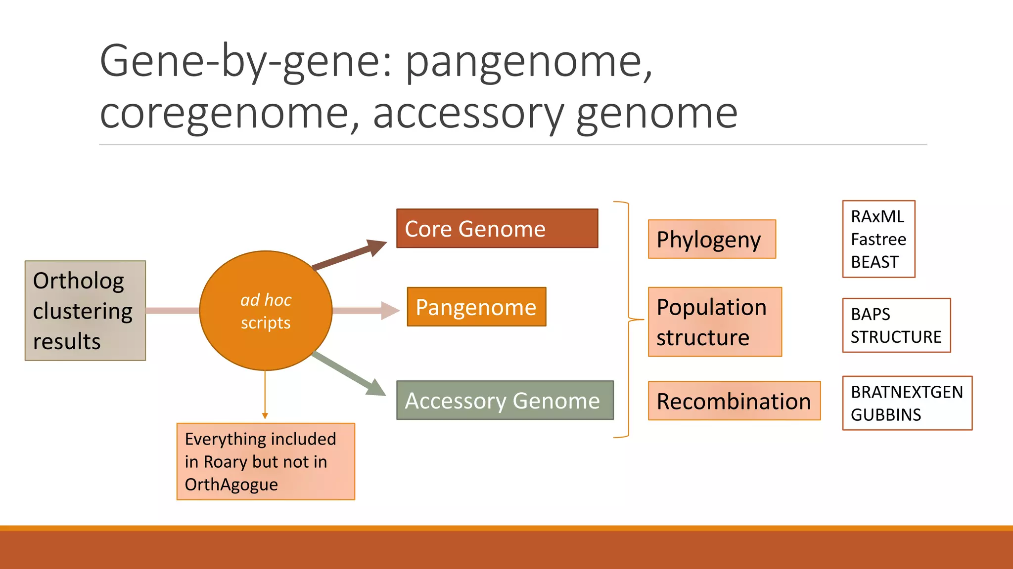 Toolbox For Bacterial Population Analysis Using Ngs Ppt