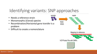 Toolbox for bacterial population analysis using NGS | PPTX | Biotech ...