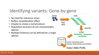 Toolbox for bacterial population analysis using NGS | PPTX | Biotech ...