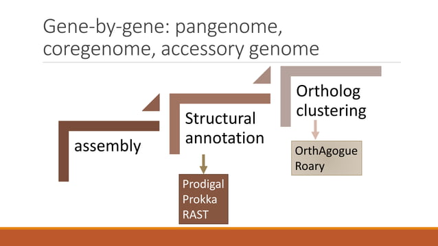 Toolbox For Bacterial Population Analysis Using Ngs Pptx Biotech