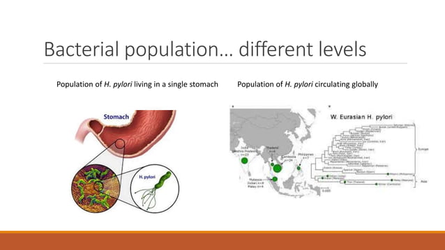 Toolbox for bacterial population analysis using NGS | PPTX | Biotech ...