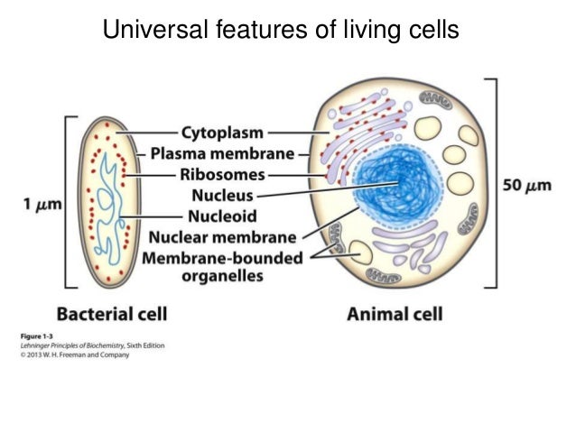 Introduction of Biochemistry