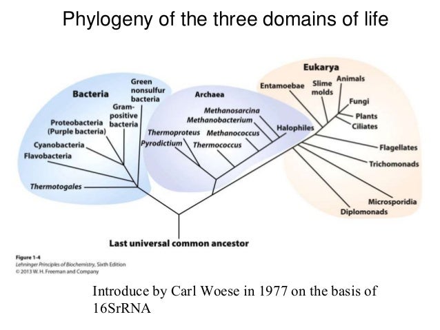Introduction of Biochemistry